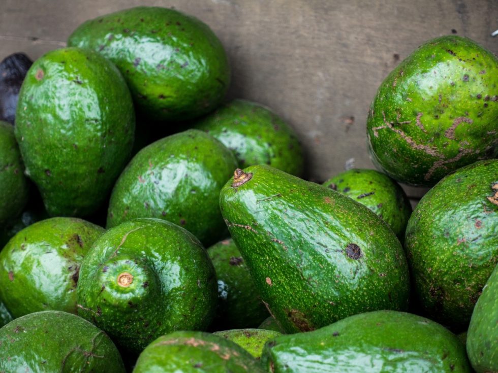 De Elihoeve Beleefboerderij | midden in Utrecht, het Groene Hart, in Snelrewaard